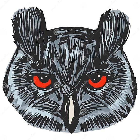 Kopf der Eule vektor abbildung. Illustration von vogel - 41262756