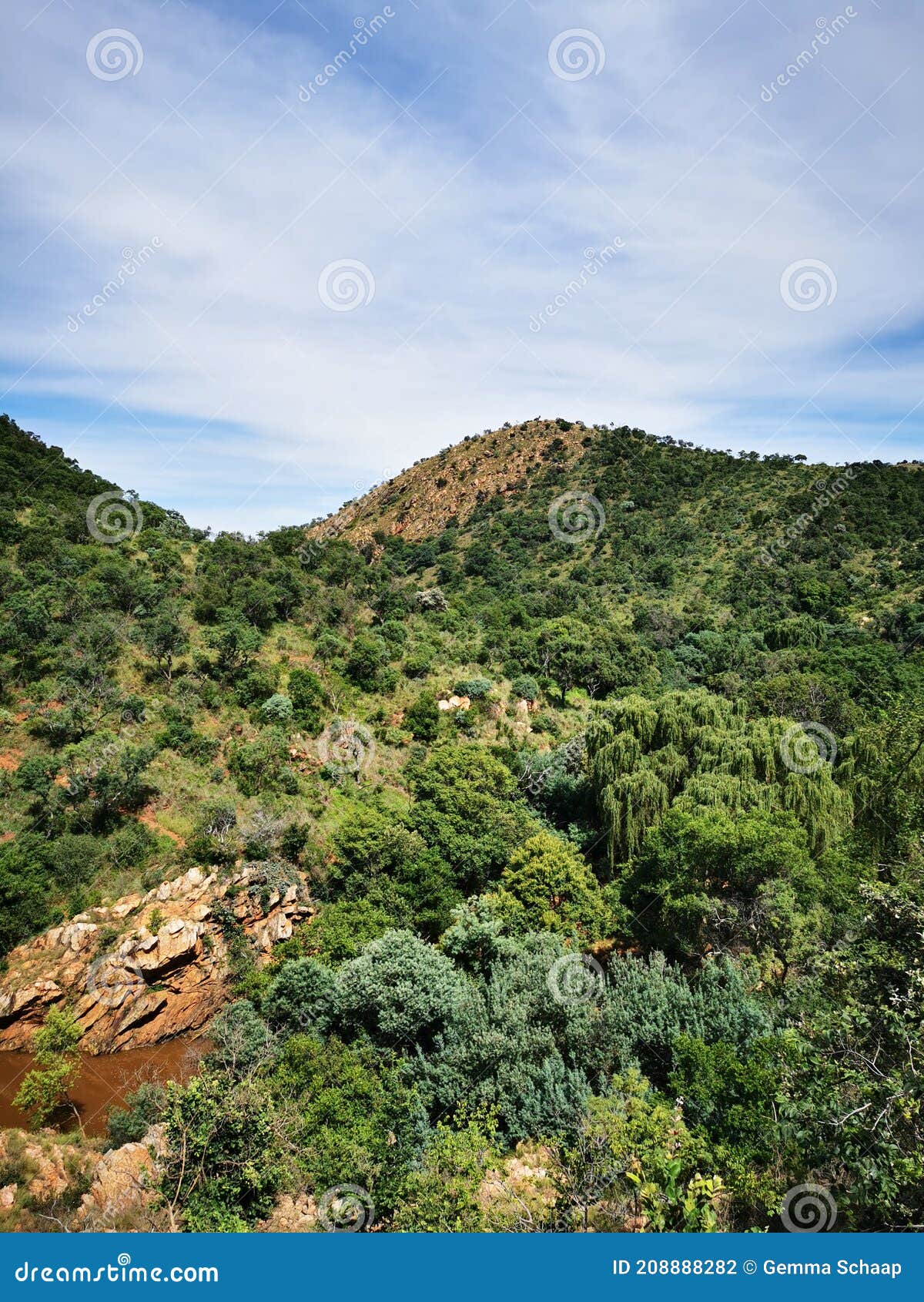 Koppies Nature Reserve Green Trees Mountain Stock Photo - Image of ...