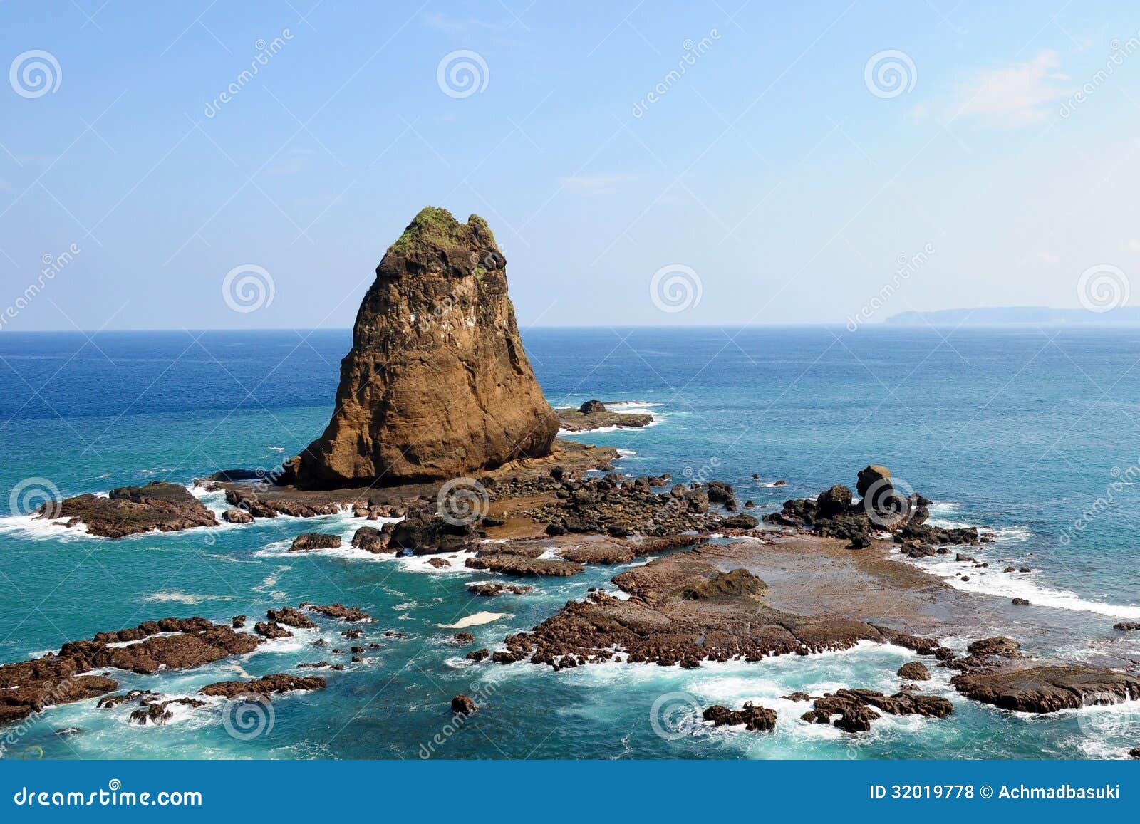 Koraal op het strand stock foto. Image of oceaan, strand - 32019778