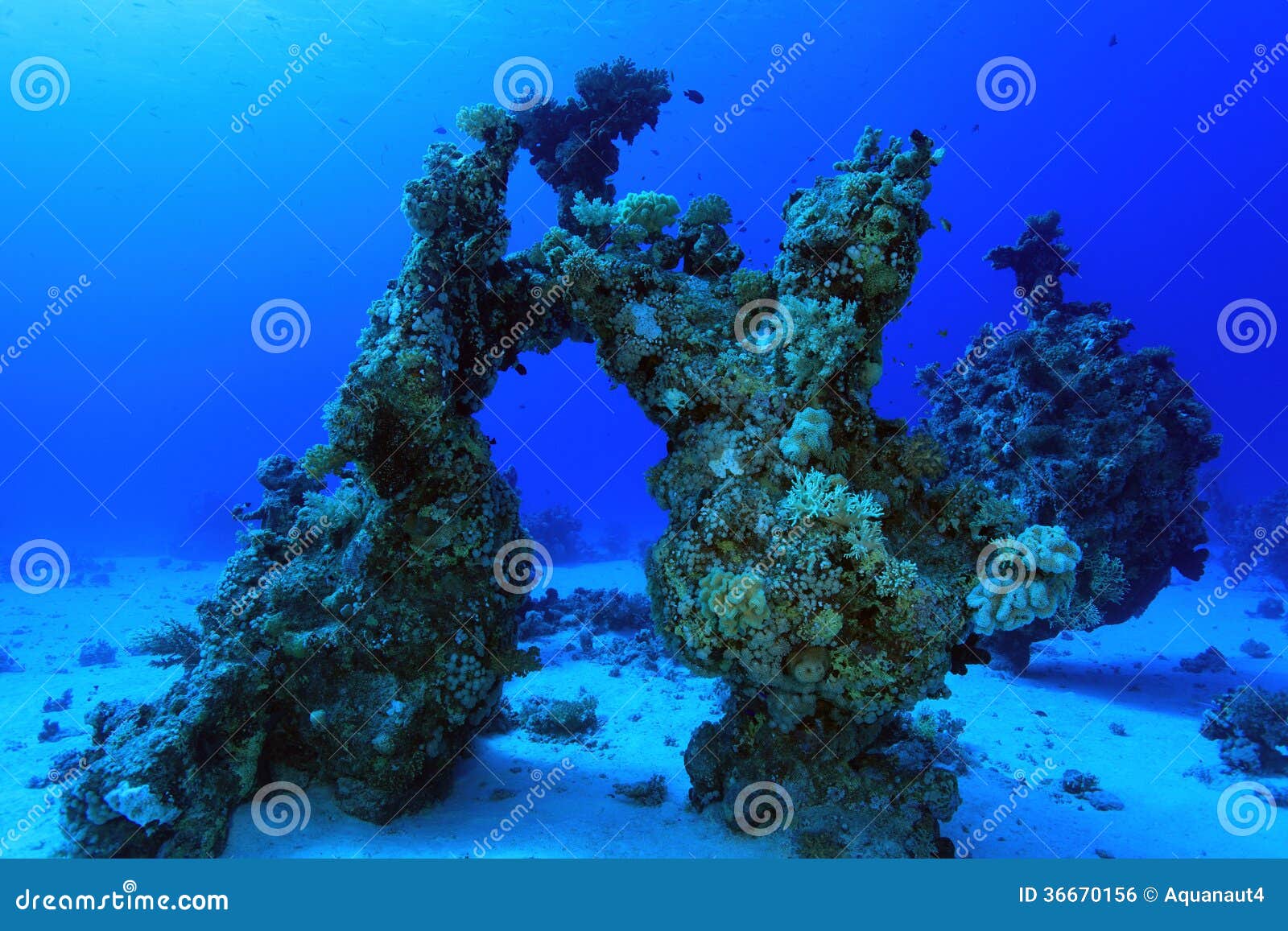 Korallenriff im Roten Meer stockfoto. Bild von eintauchen - 36670156