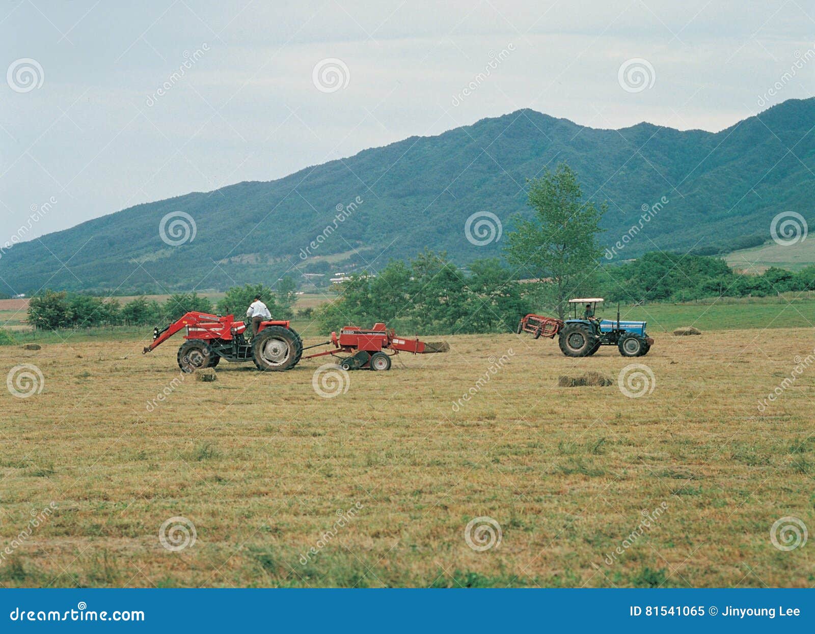Korea agriculture editorial image. Image of male, field - 81541065