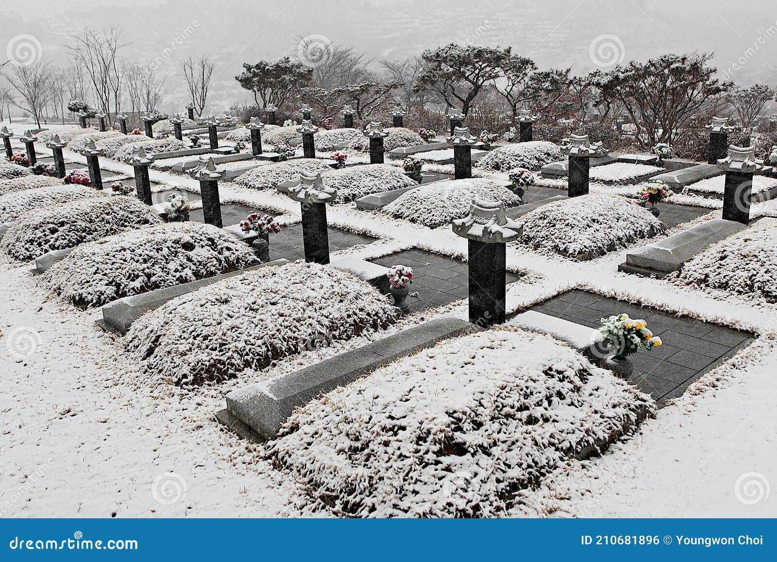 Korea cemetery editorial photo. Image of gress, municipal - 210681896