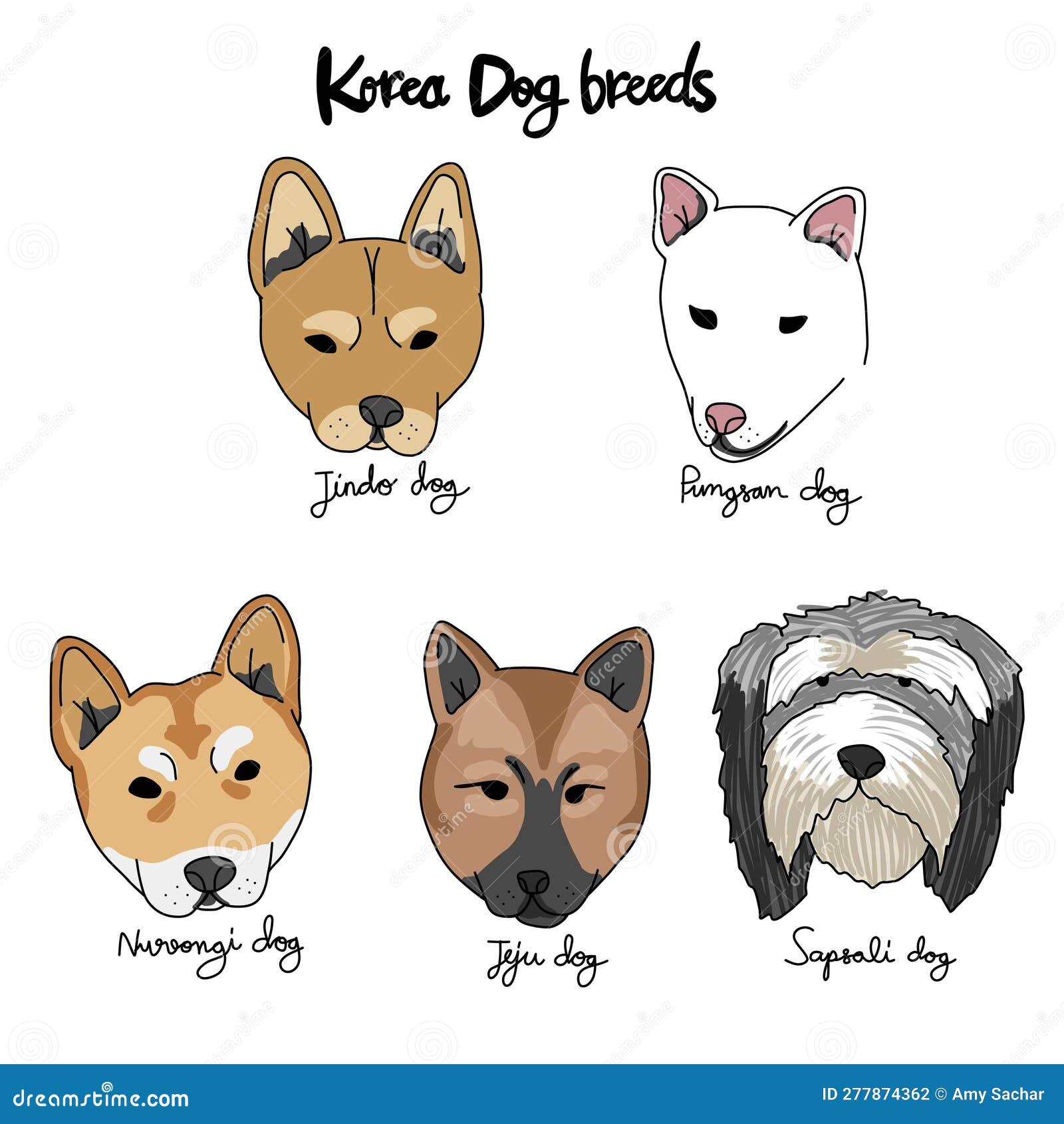 Korea Dog Breed Cartoon Chart Illustration Stock Vector - Illustration ...