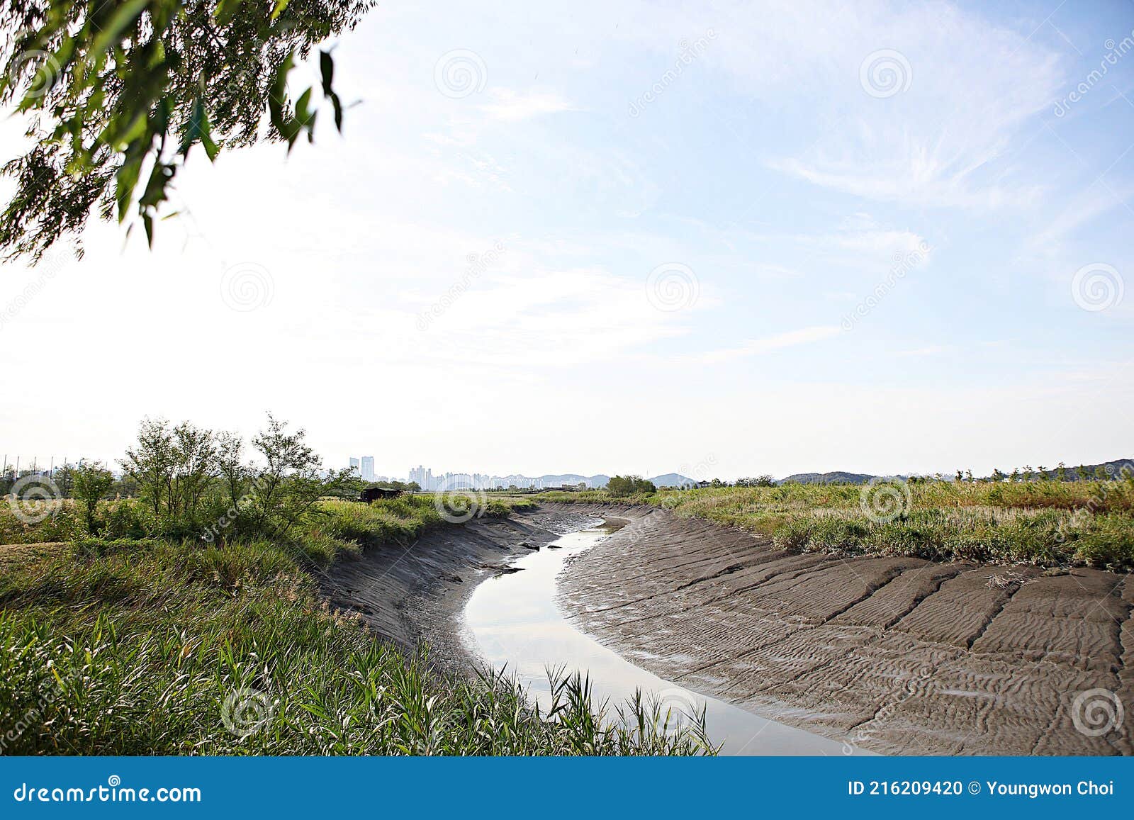 Korea ecological park editorial image. Image of field - 216209420
