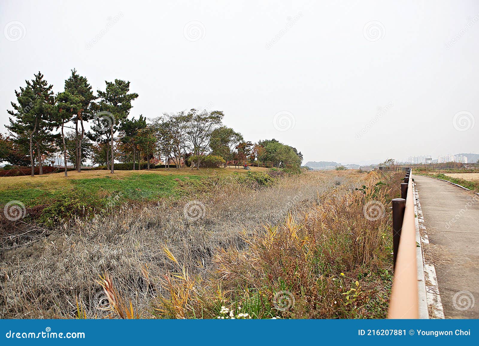 Korea ecological park editorial photo. Image of siheung - 216207881