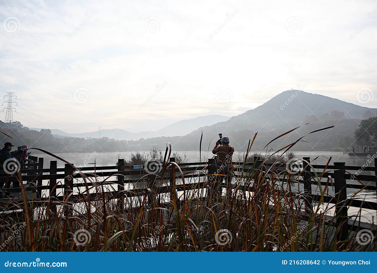 Korea ecological park editorial photography. Image of reeds - 216208642
