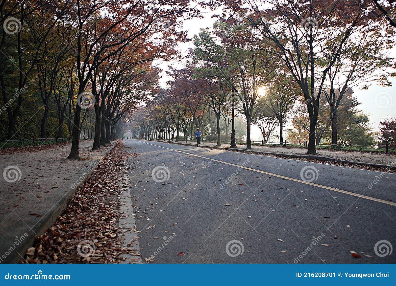 Korea ecological park editorial photo. Image of field - 216208701