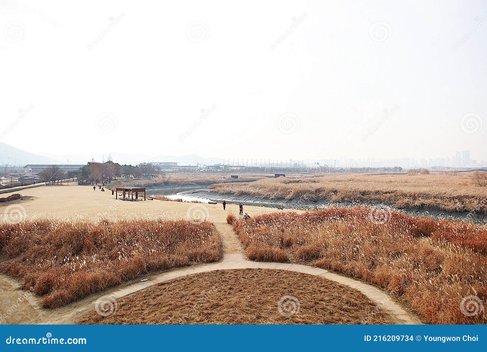 Korea ecological park editorial stock image. Image of wetland - 216209734