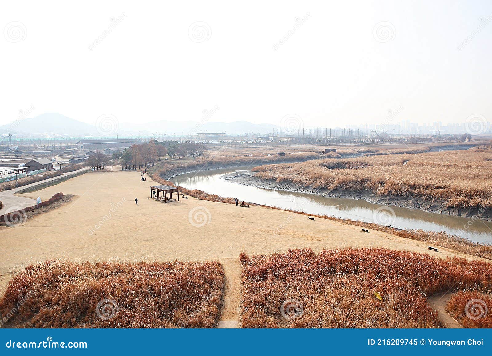 Korea ecological park editorial image. Image of park - 216209745