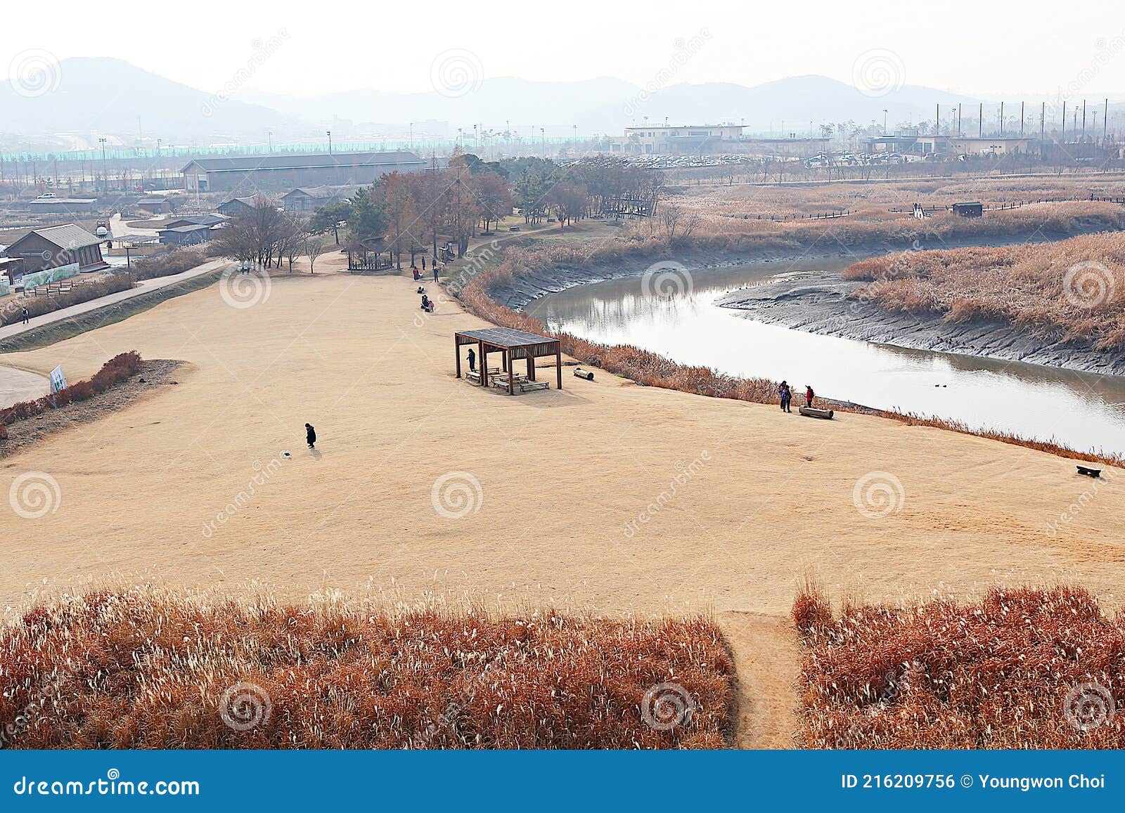 Korea ecological park editorial photo. Image of wetland - 216209756