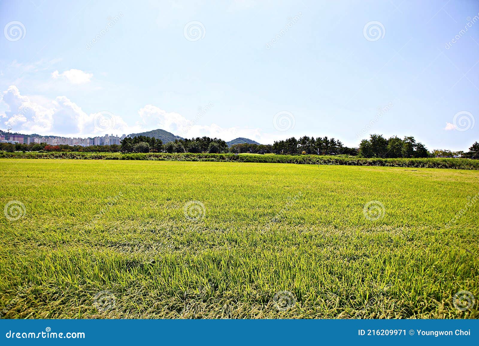 Korea ecological park editorial photo. Image of ecological - 216209971