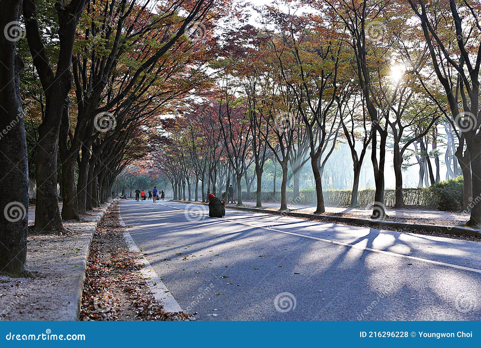 Korea ecological park editorial stock photo. Image of koreapark - 216296228