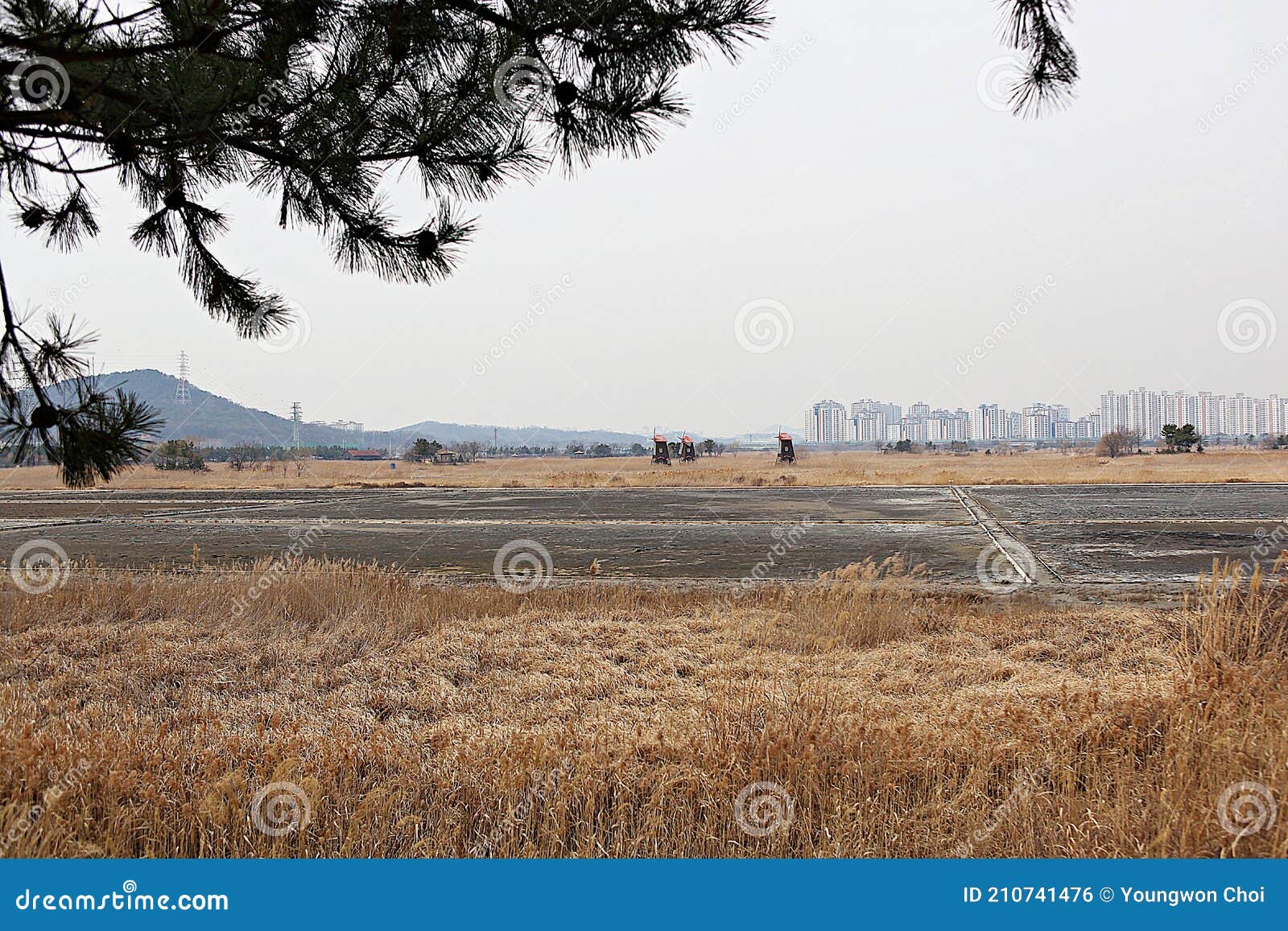 Korea ecological park editorial photo. Image of ecological - 210741476