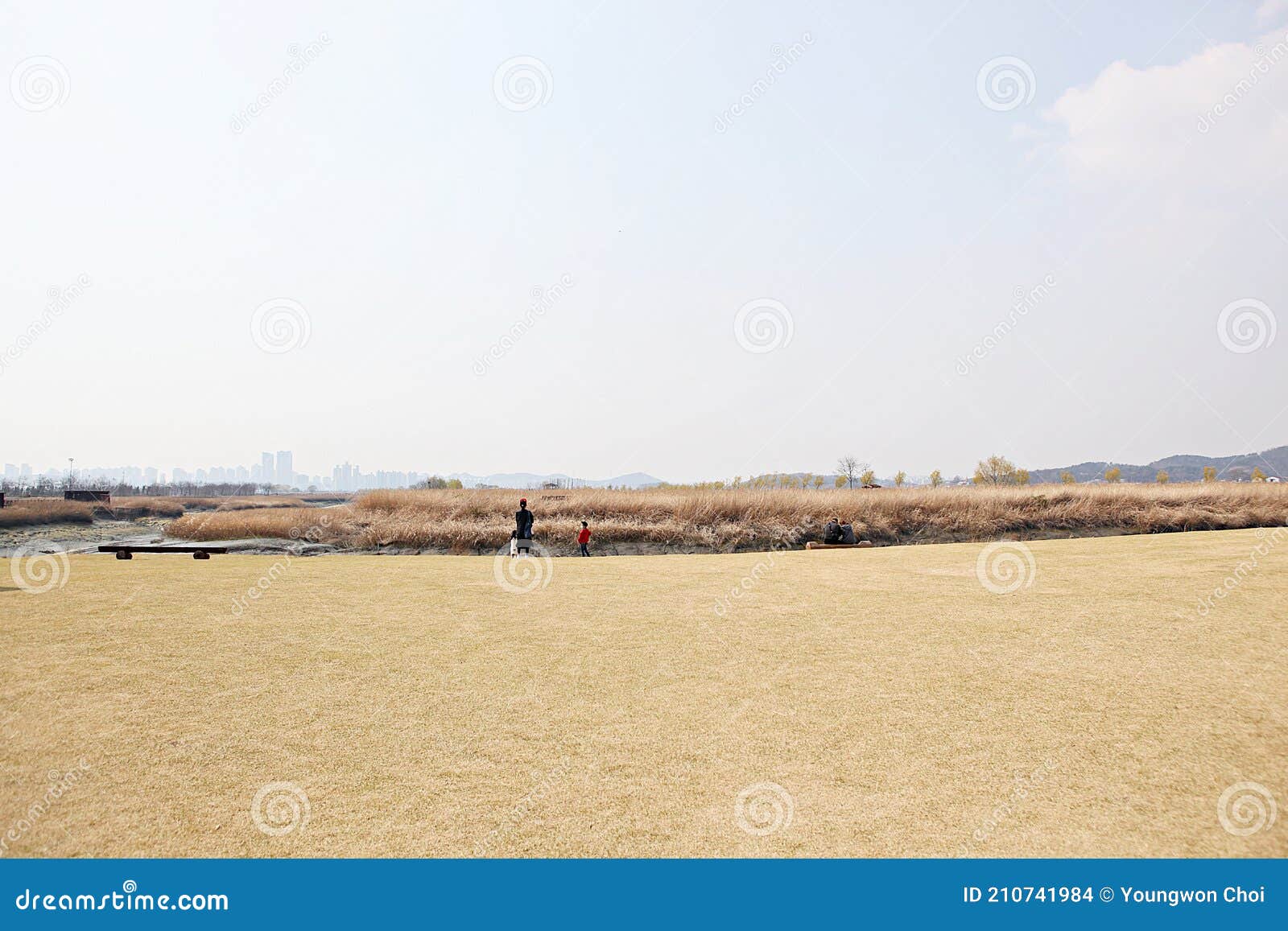 Korea ecological park editorial stock image. Image of water - 210741984