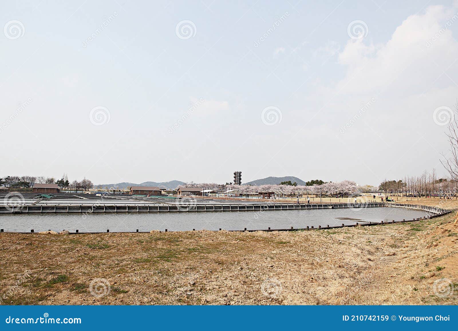 Korea ecological park editorial stock image. Image of green - 210742159