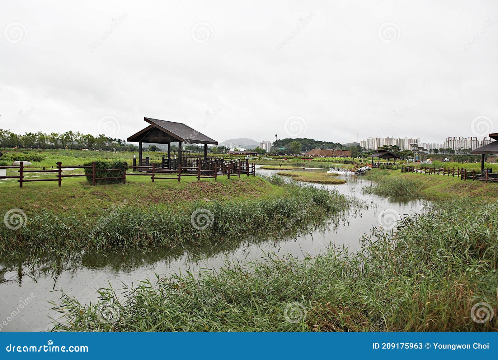 Korea ecological park stock image. Image of plants, ecologicalpark ...