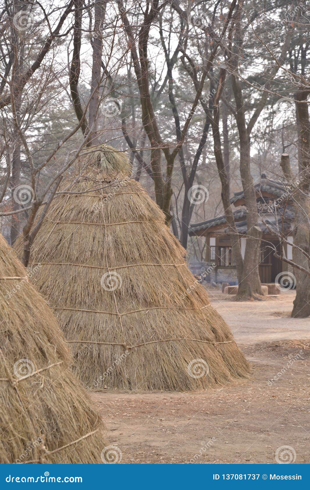 Korean Rustic Cottage Triangle House Accommodation Editorial ...
