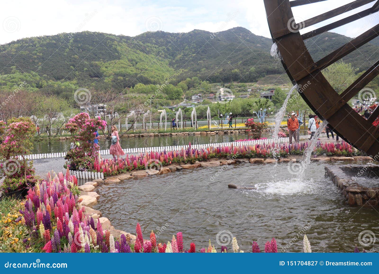 Manoon Stock Photos - Free & Royalty-Free Stock Photos from Dreamstime