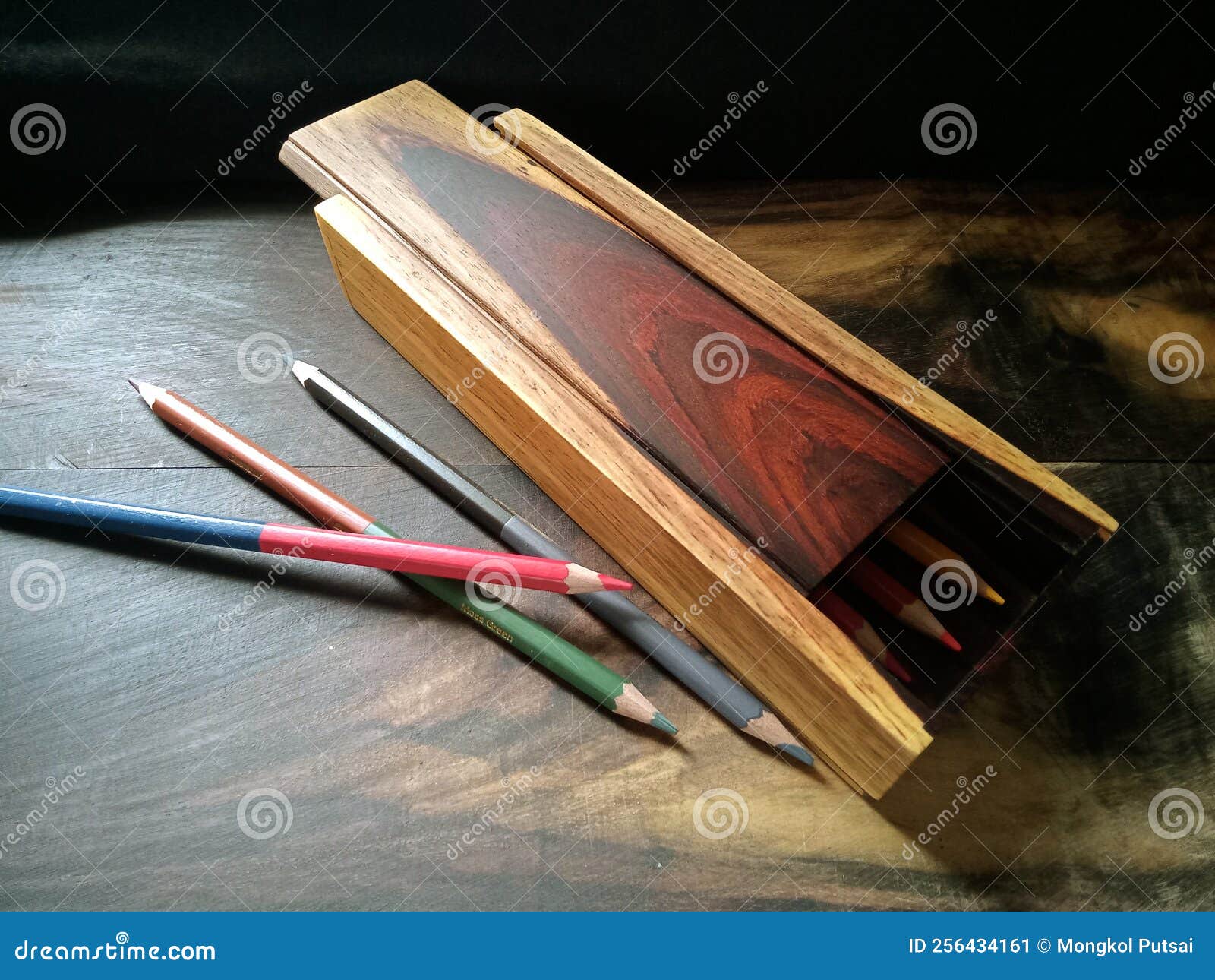 Korean Fir Tree (Abies Koreana) Branches and Cones Stock Image - Image ...