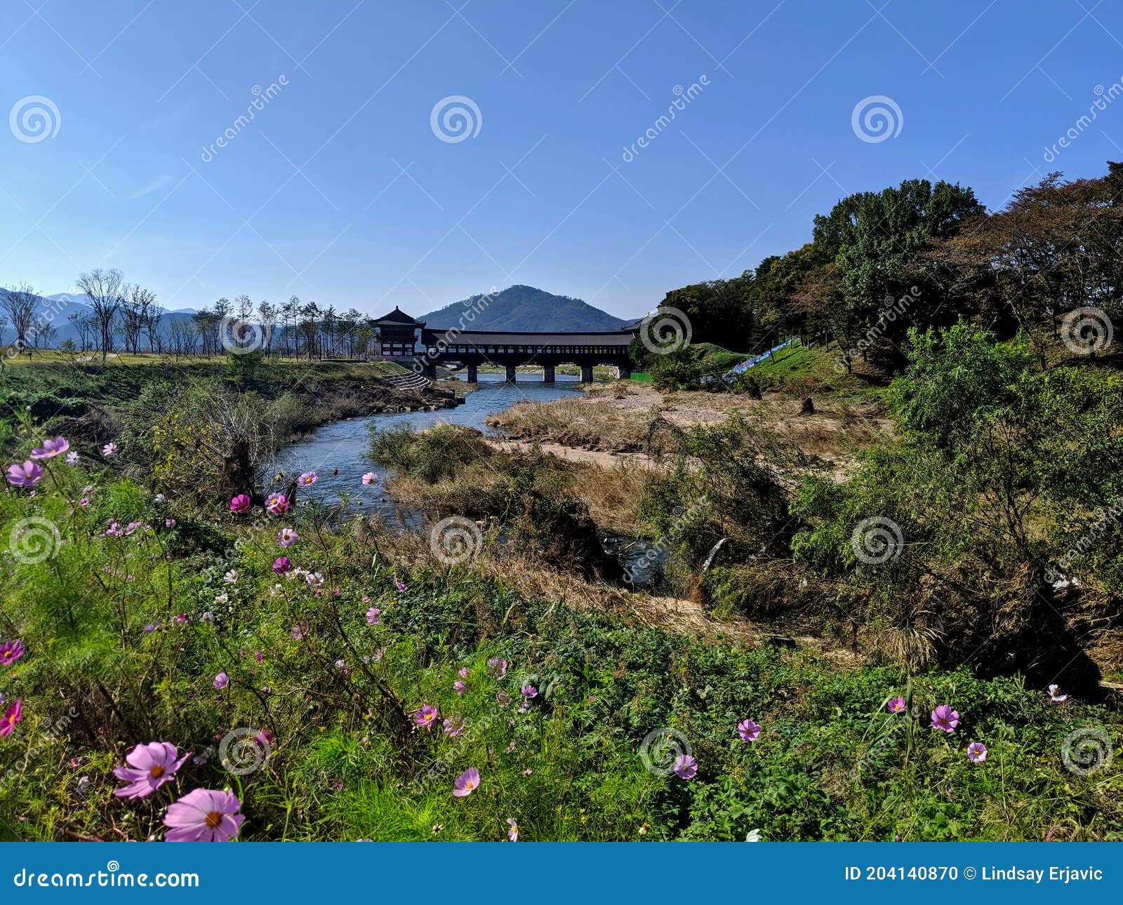 Korean Garden with Bridge stock photo. Image of tree - 204140870