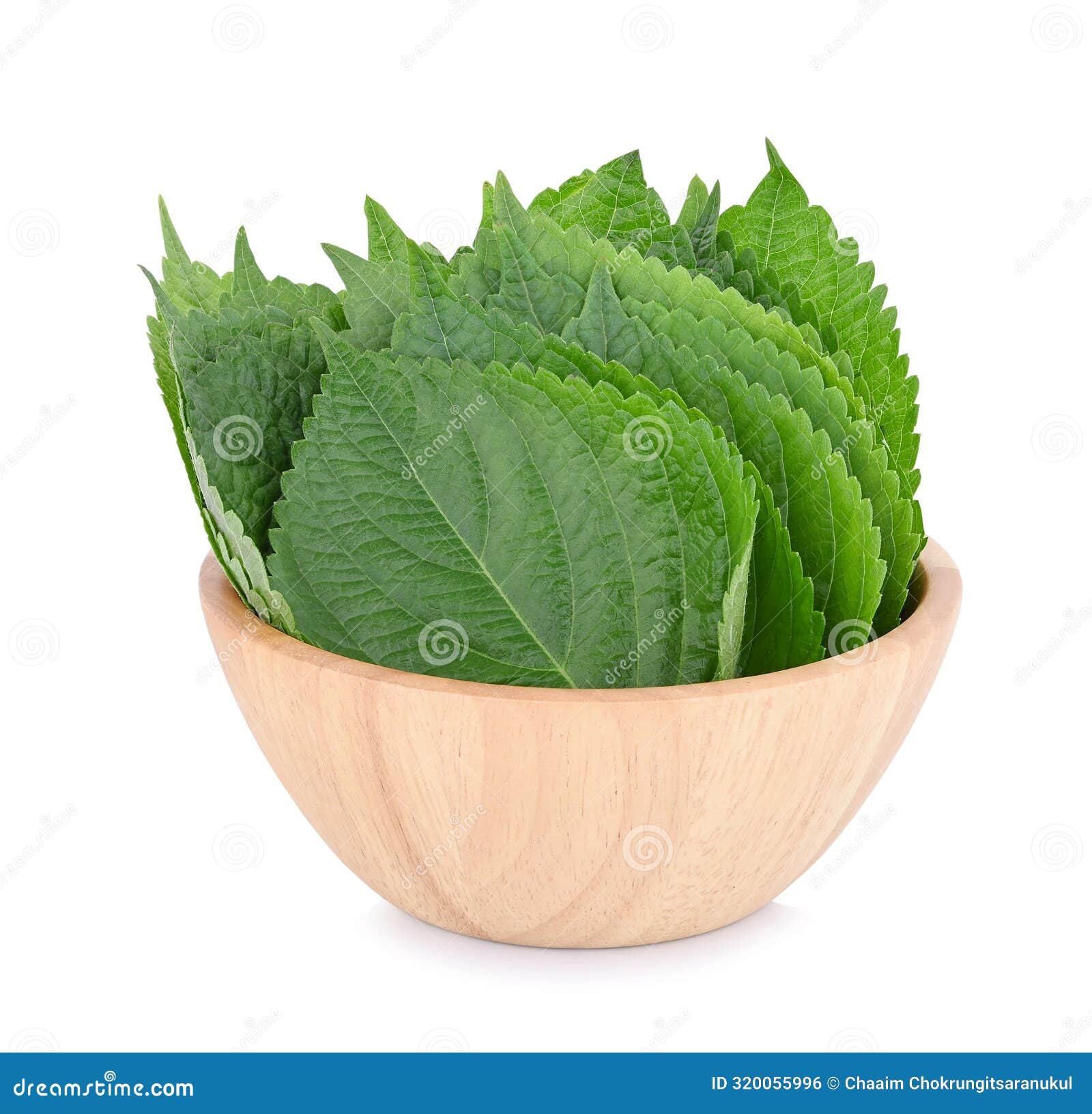 Korean Sesame Leaves in Bowl on White Background Stock Photo - Image of ...