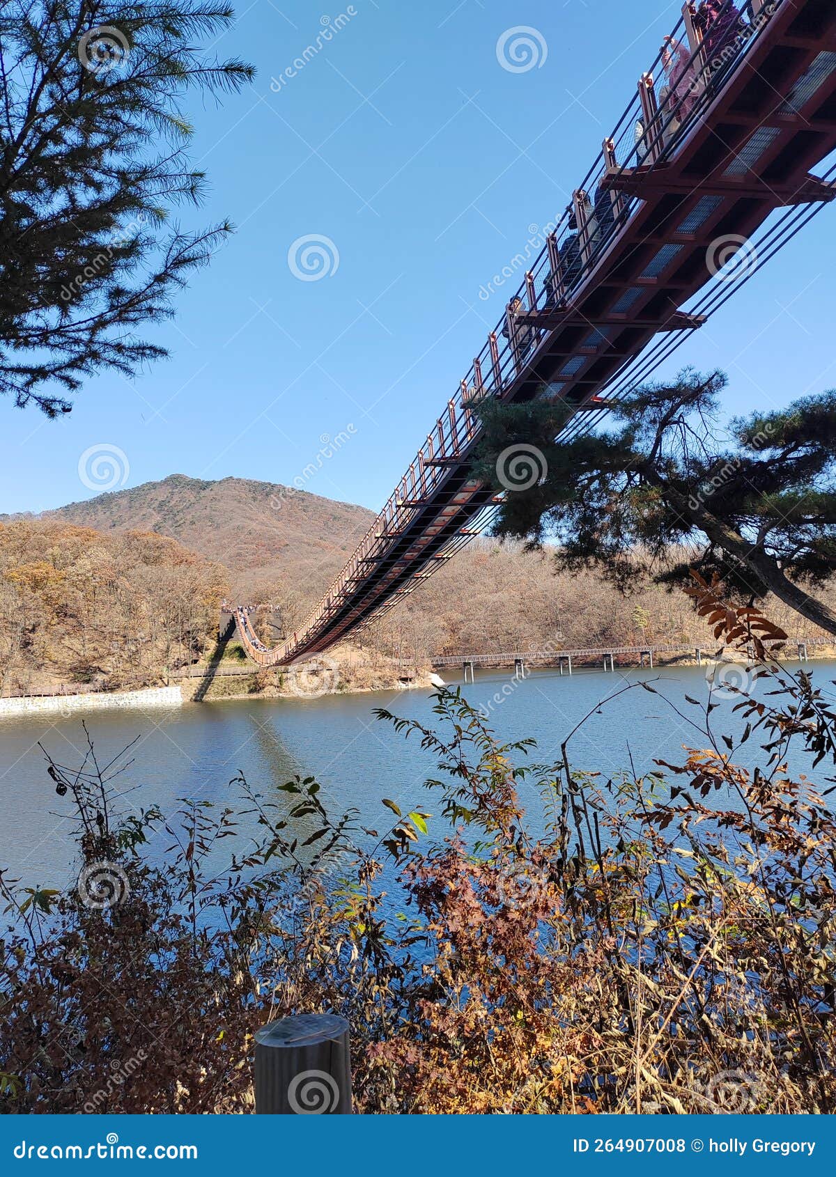 Korean sky walk Bridge stock photo. Image of korea, southkorea - 264907008