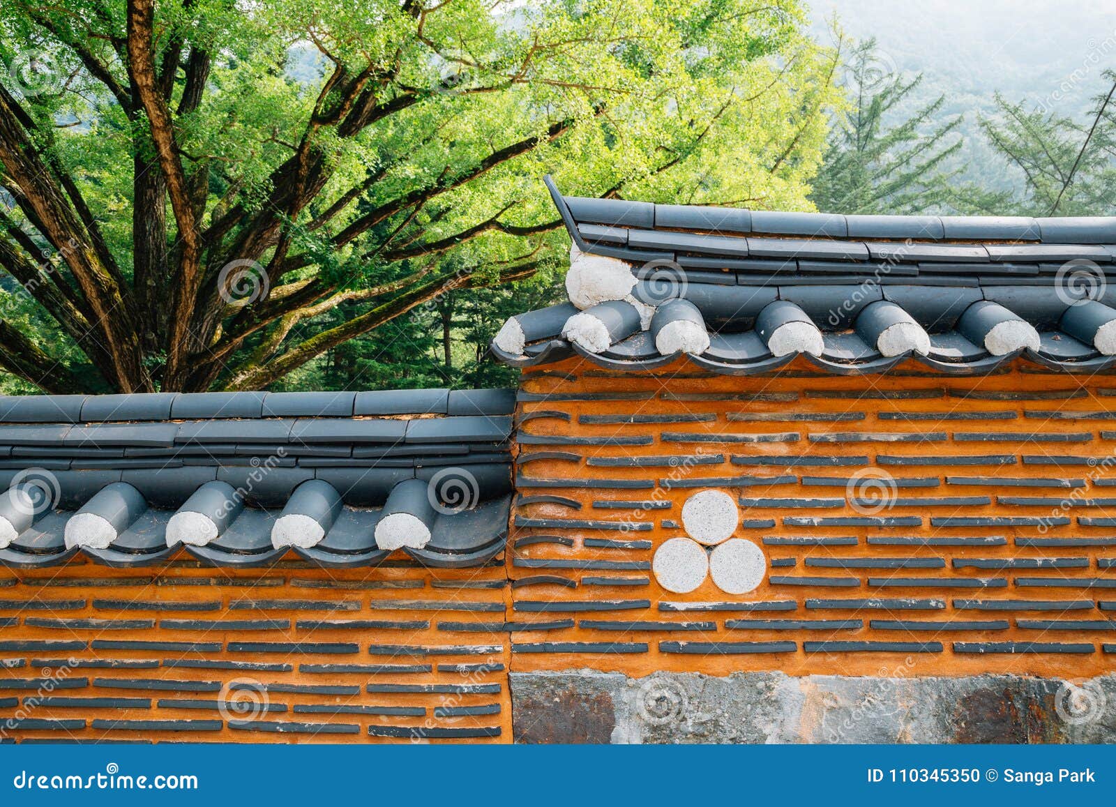 Korean Traditional Pattern Wall and Green Tree Stock Photo - Image of ...