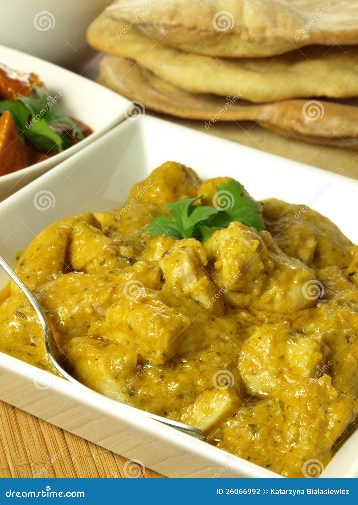 Korma chicken stock photo. Image of closeup, diet, korma - 26066992