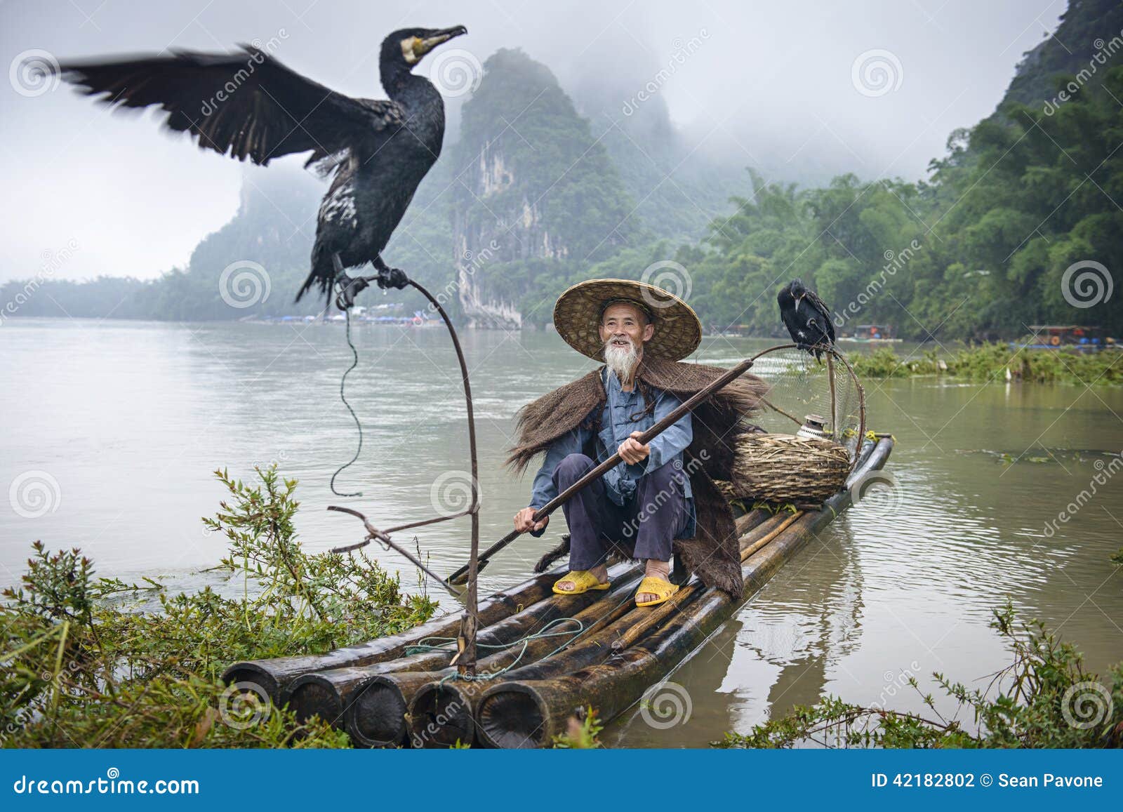 Kormoran-Fischer redaktionelles stockfotografie. Bild von fischen ...