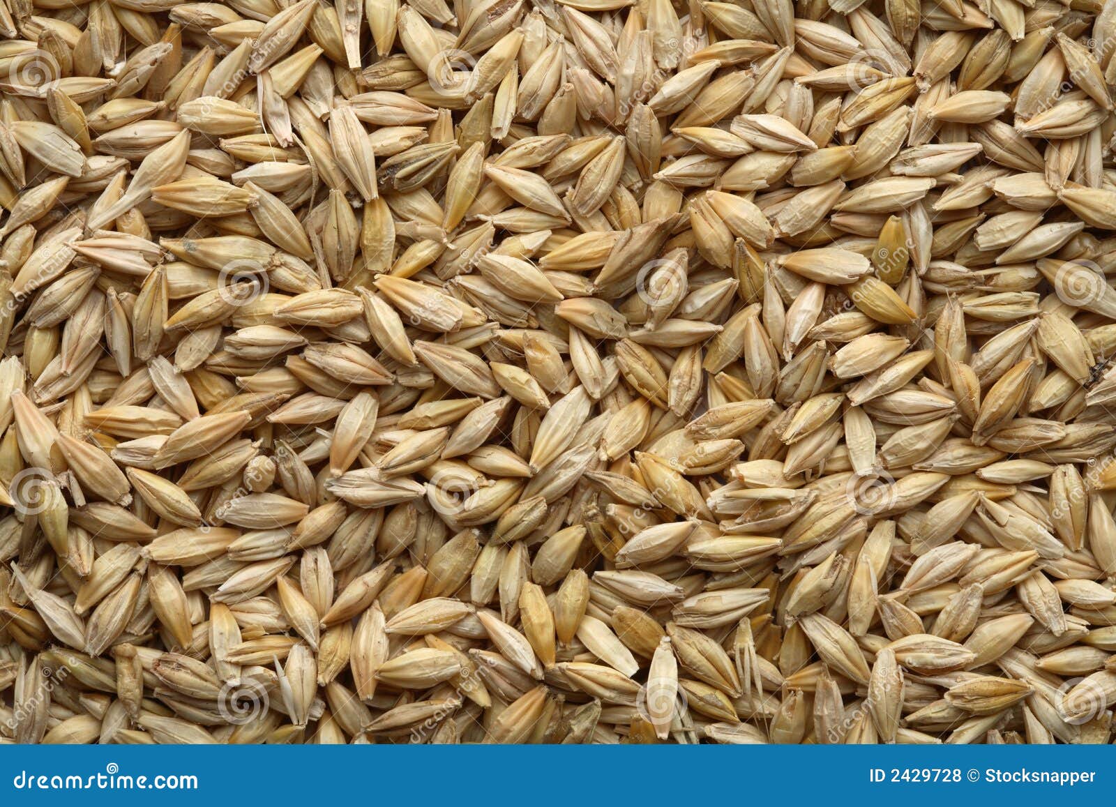 Korn arkivfoto. Bild av bakgrund, utsäde, textur, korn - 2429728
