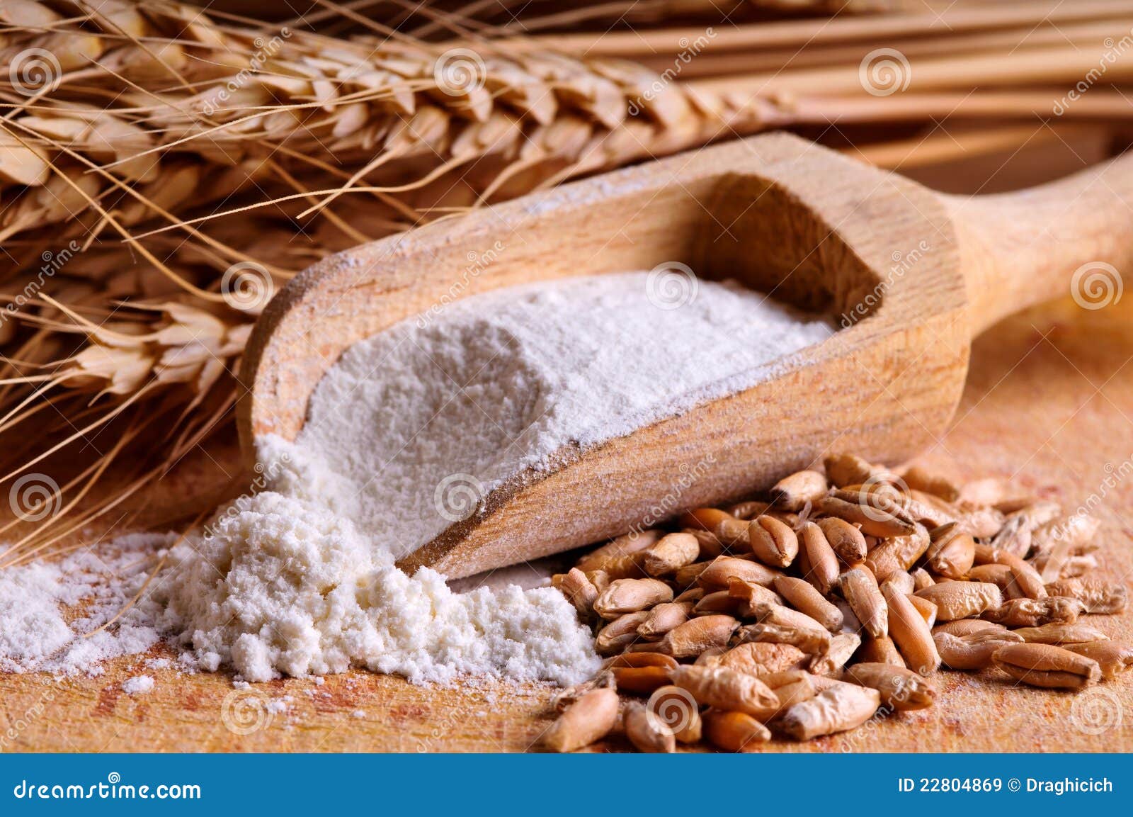 Korrel, bloem en tarwe stock afbeelding. Image of sluit - 22804869