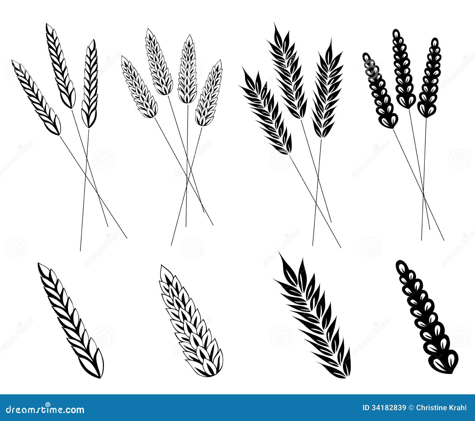 Korrel, graan, tarwe vector illustratie. Illustration of samenvatting ...