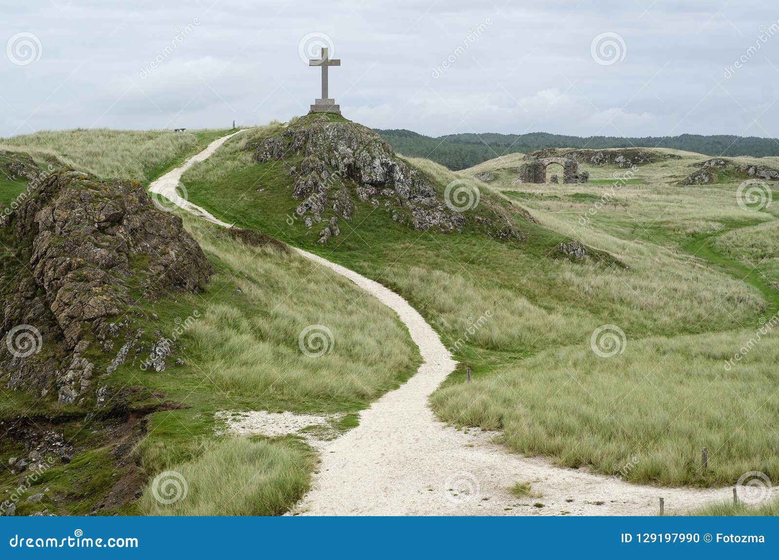 Kors Foton - Download 684,550 Royalty Free Photos