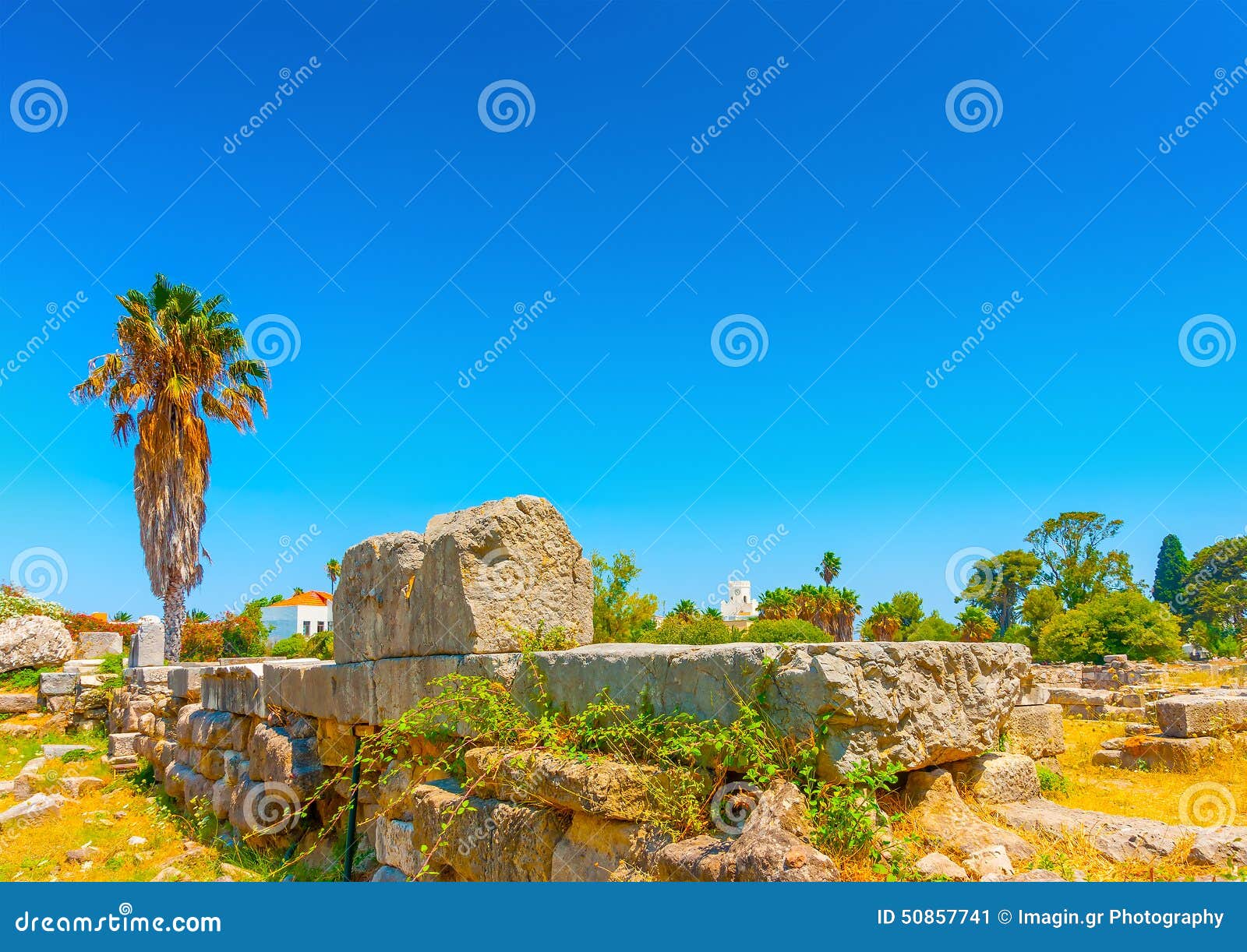 In Kos island in Greece stock image. Image of green, european - 50857741