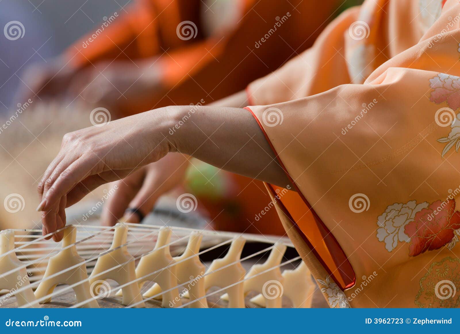 Koto stock image. Image of woman, palm, oriental, musician - 3962723