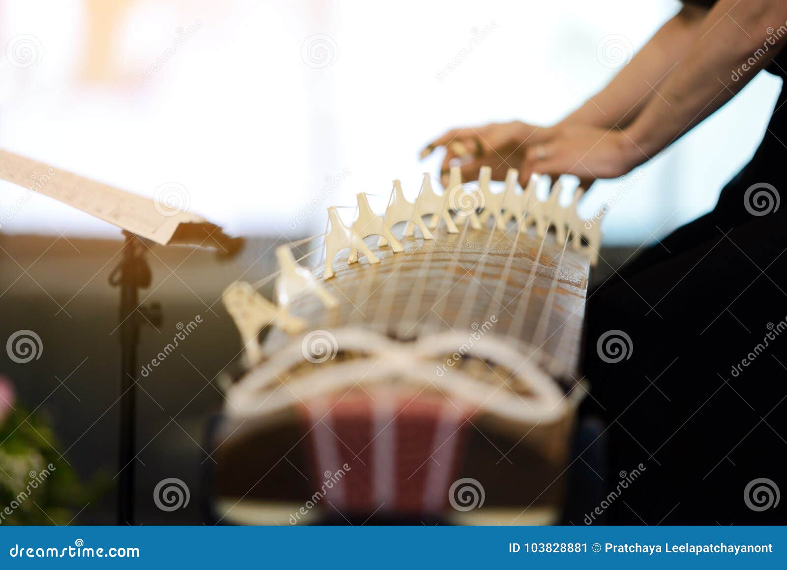 Koto - Instrumento Musical Tradicional Imagen de archivo - Imagen de ...