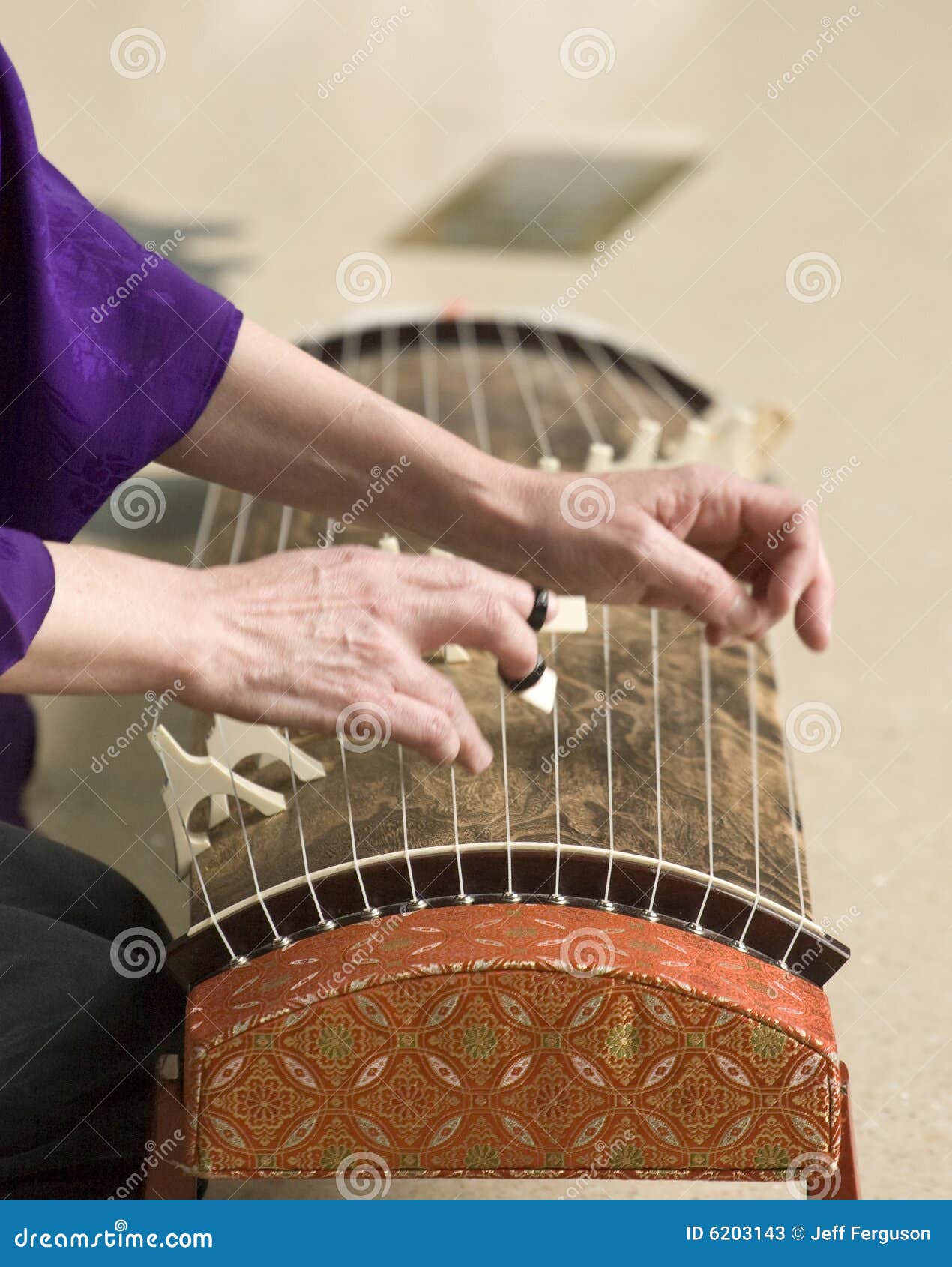Koto Player stock image. Image of indigenous, exhibition - 6203143