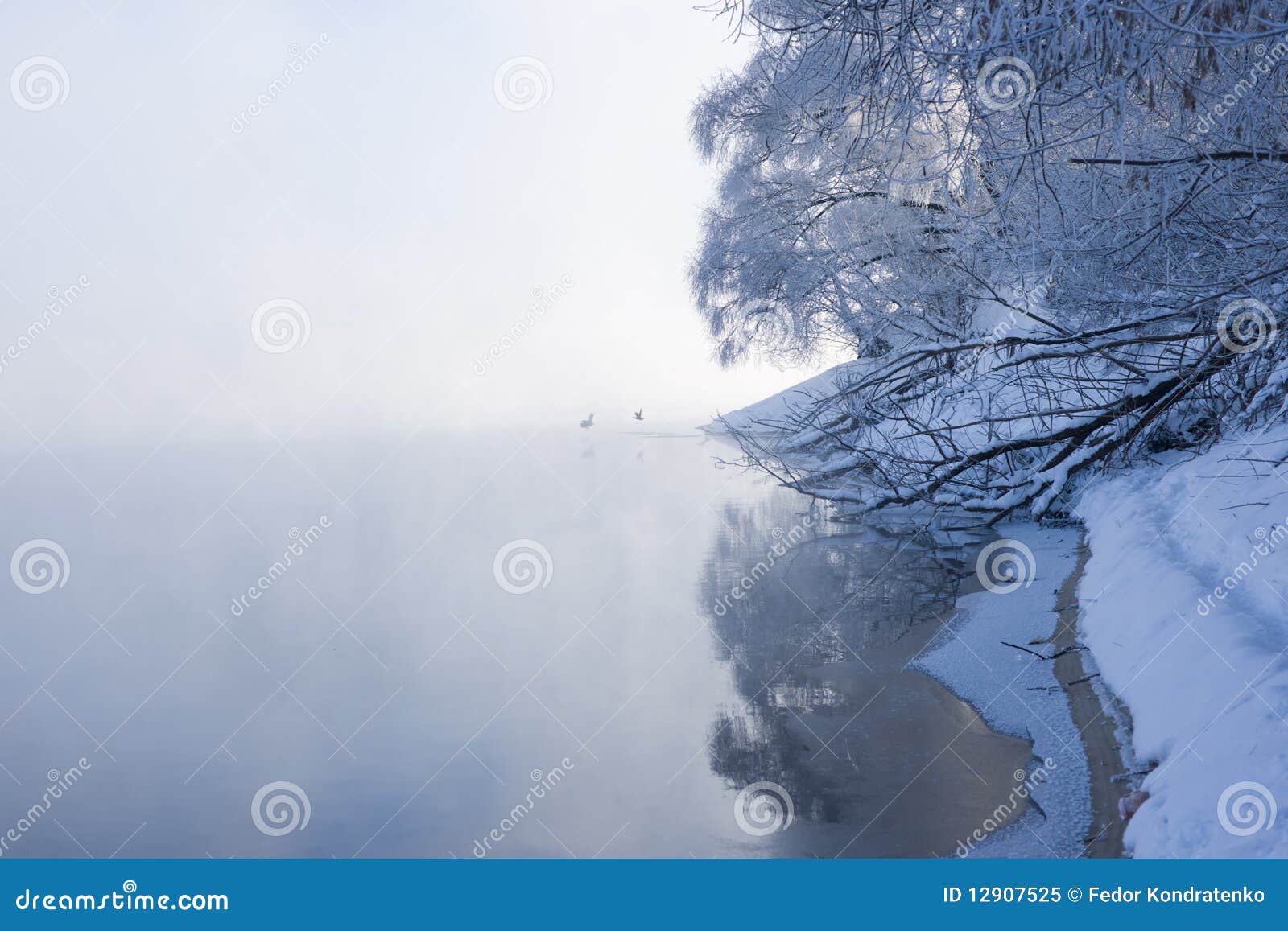 Koud de winterlandschap stock afbeelding. Image of silhouet - 12907525