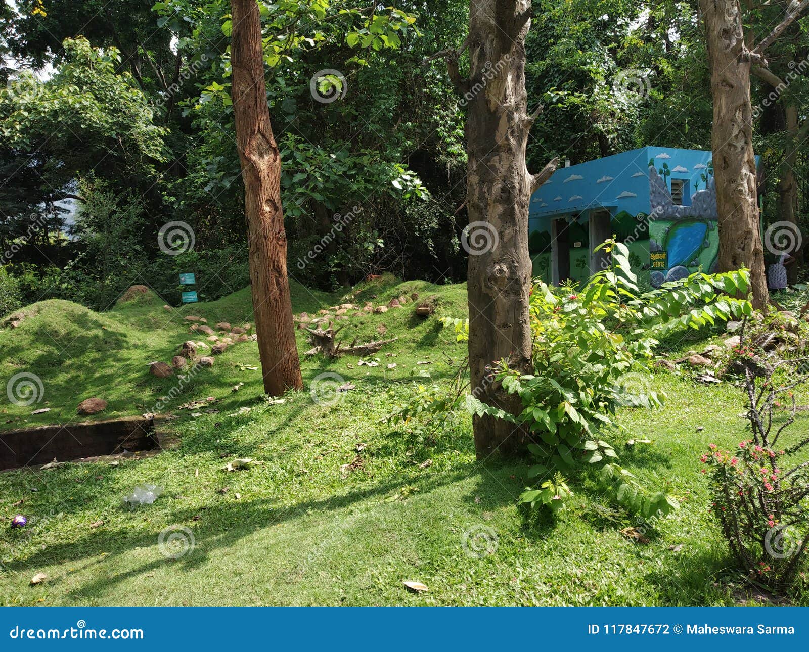 Kovai kutralam falls stock photo. Image of monkeys, kutralam - 117847672