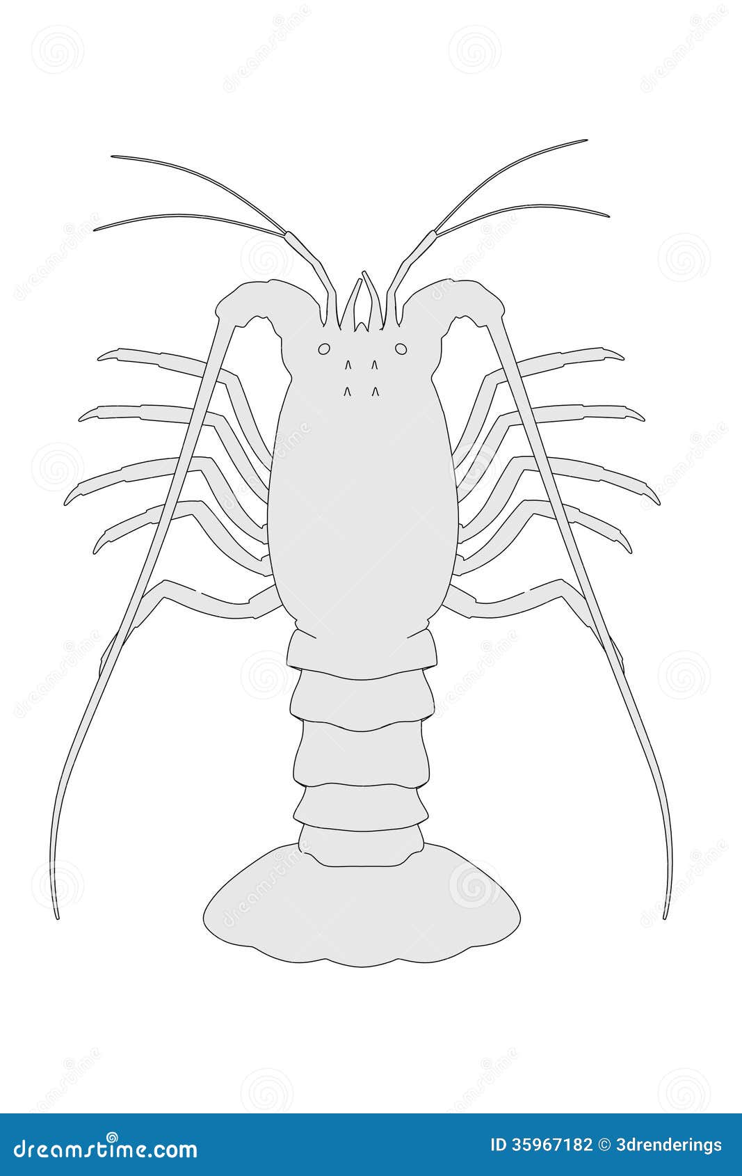 Kräftdjurst Djur - Taggig Hummer Stock Illustrationer - Illustration av ...