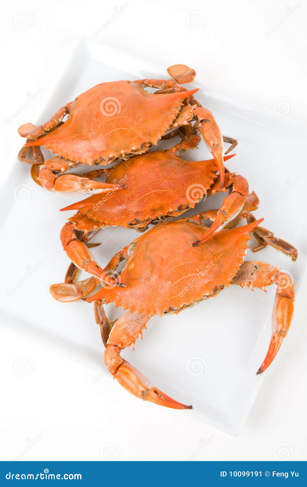 Krab obraz stock. Obraz złożonej z tło, czerwień, pazur - 10099191