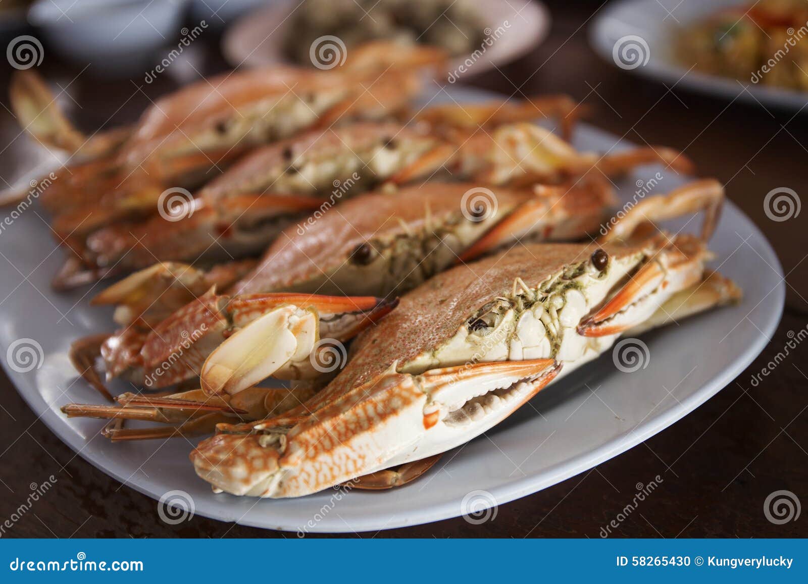Krab, klaar te eten! stock foto. Image of apparatuur - 58265430