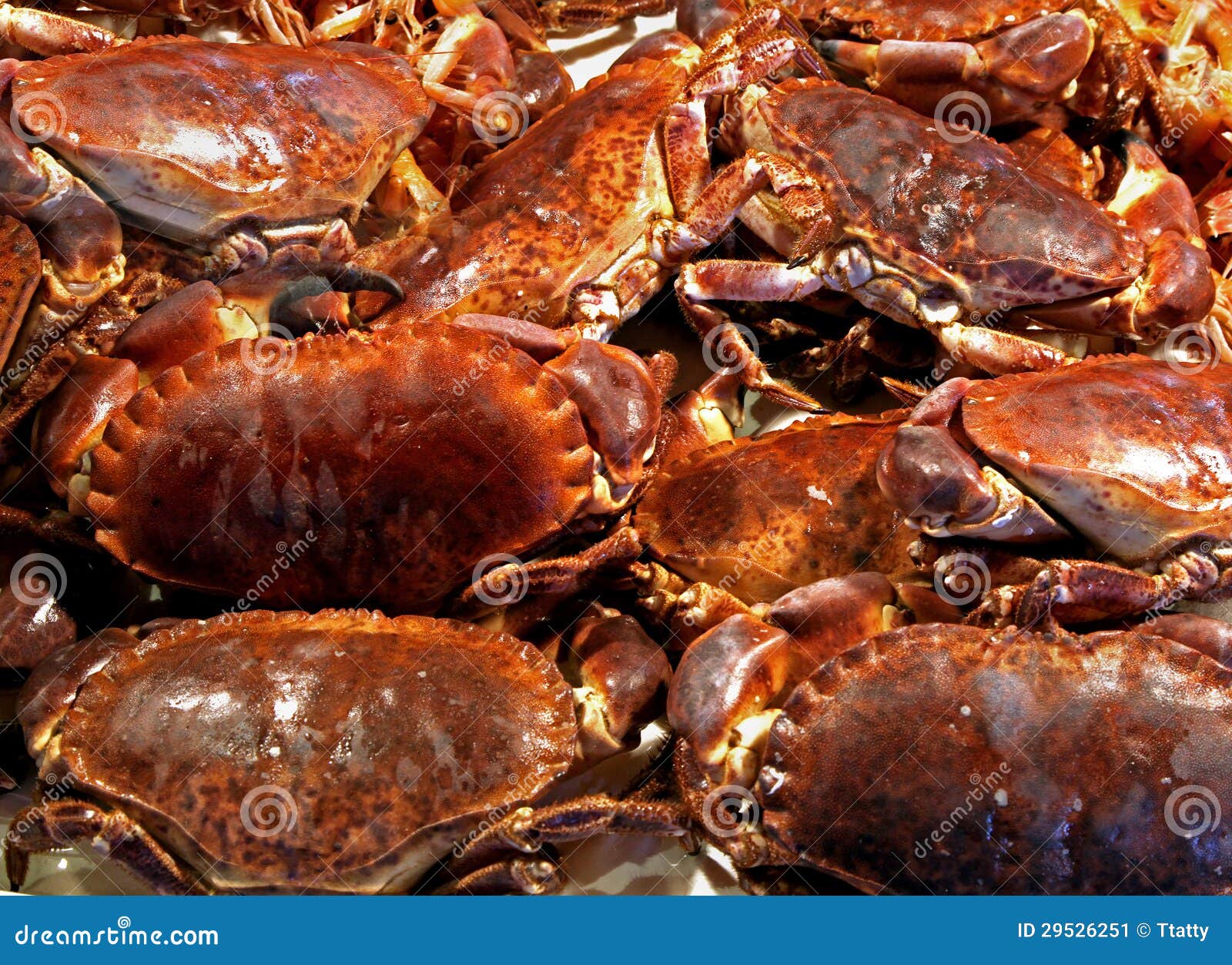 Kraba stos obraz stock. Obraz złożonej z skorupiak, jedzenie - 29526251