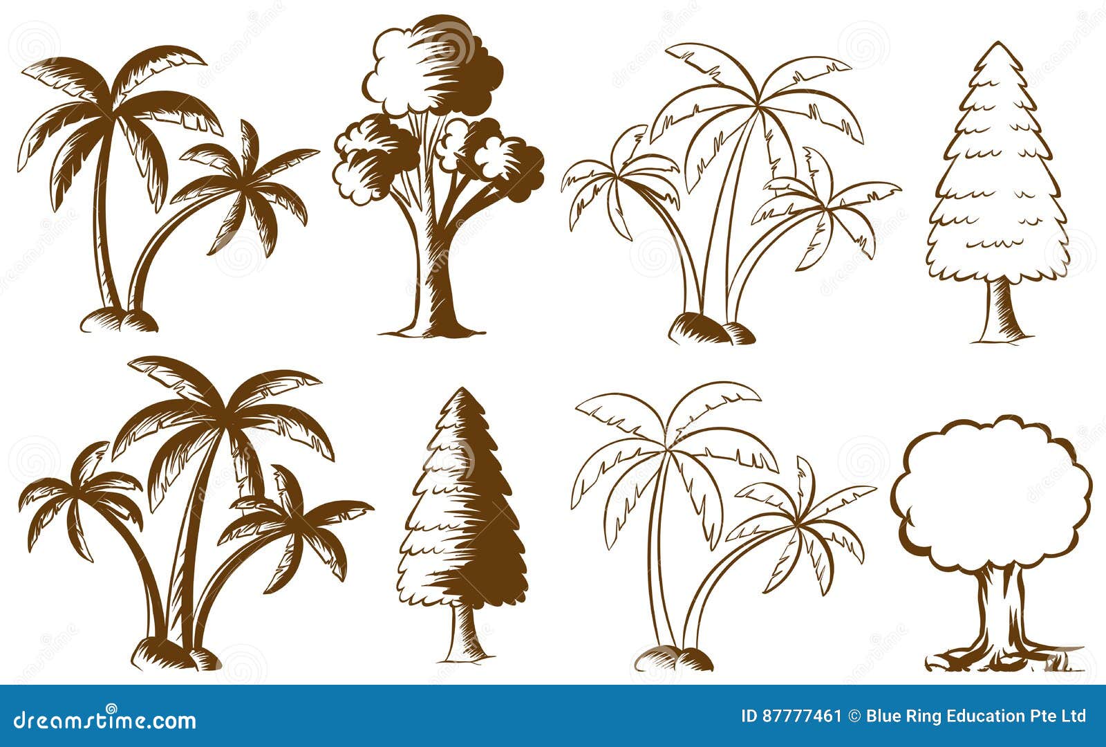 Krabbels Van Verschillende Types Van Bomen Vector Illustratie ...