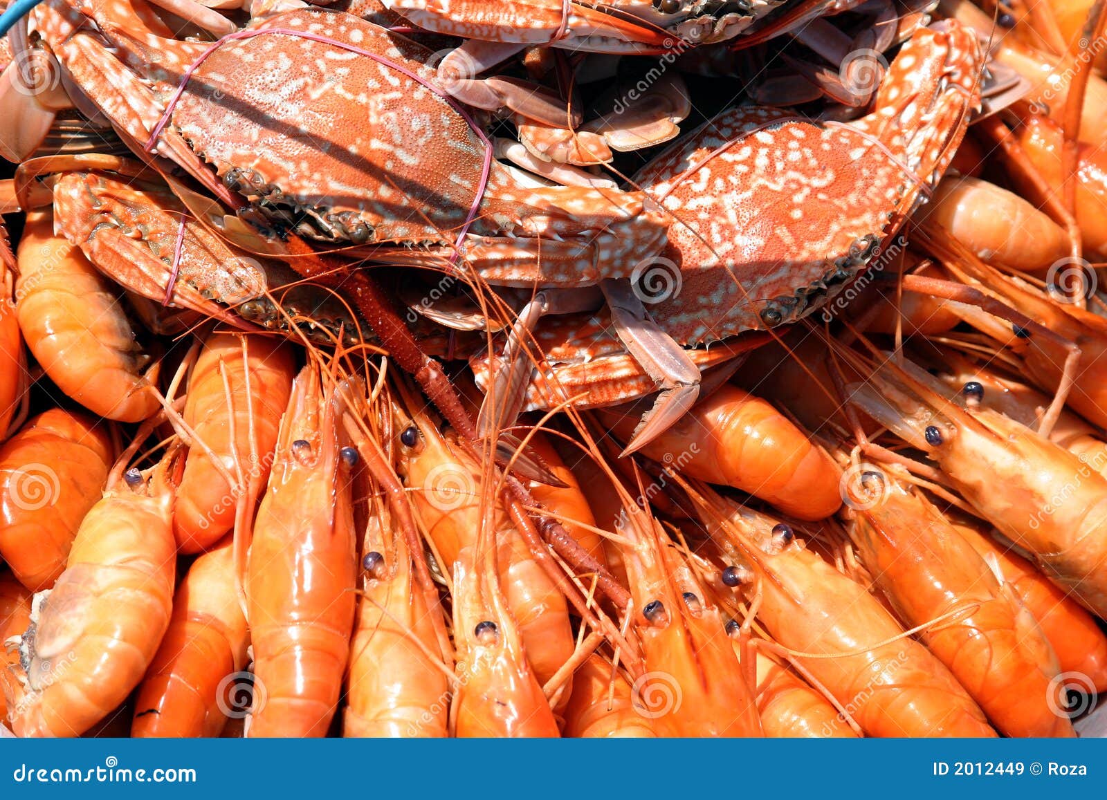 Krabben en garnalen stock afbeelding. Image of diëet, gezond - 2012449