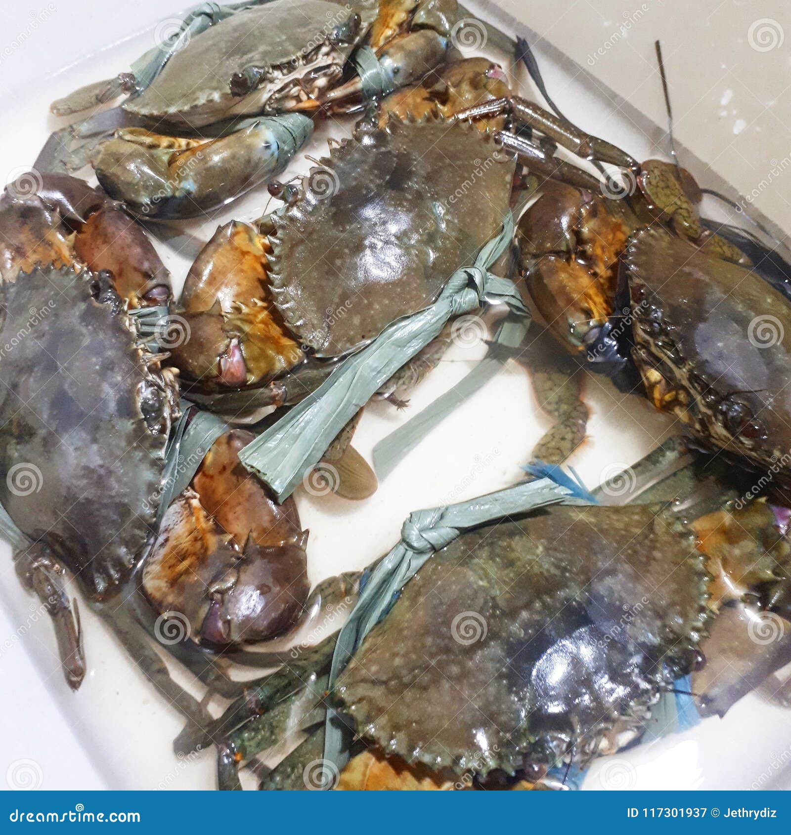 Krabbor fotografering för bildbyråer. Bild av nytt, kock - 117301937