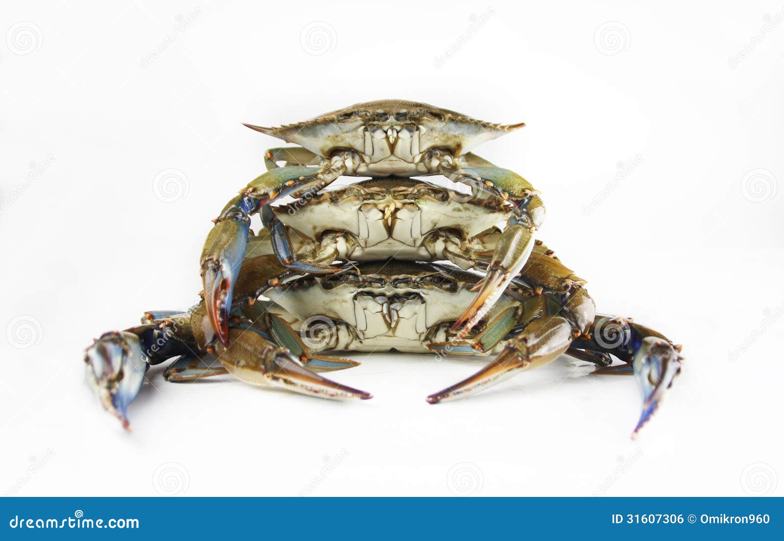 Kraby zdjęcie stock. Obraz złożonej z krab, krewetka - 31607306