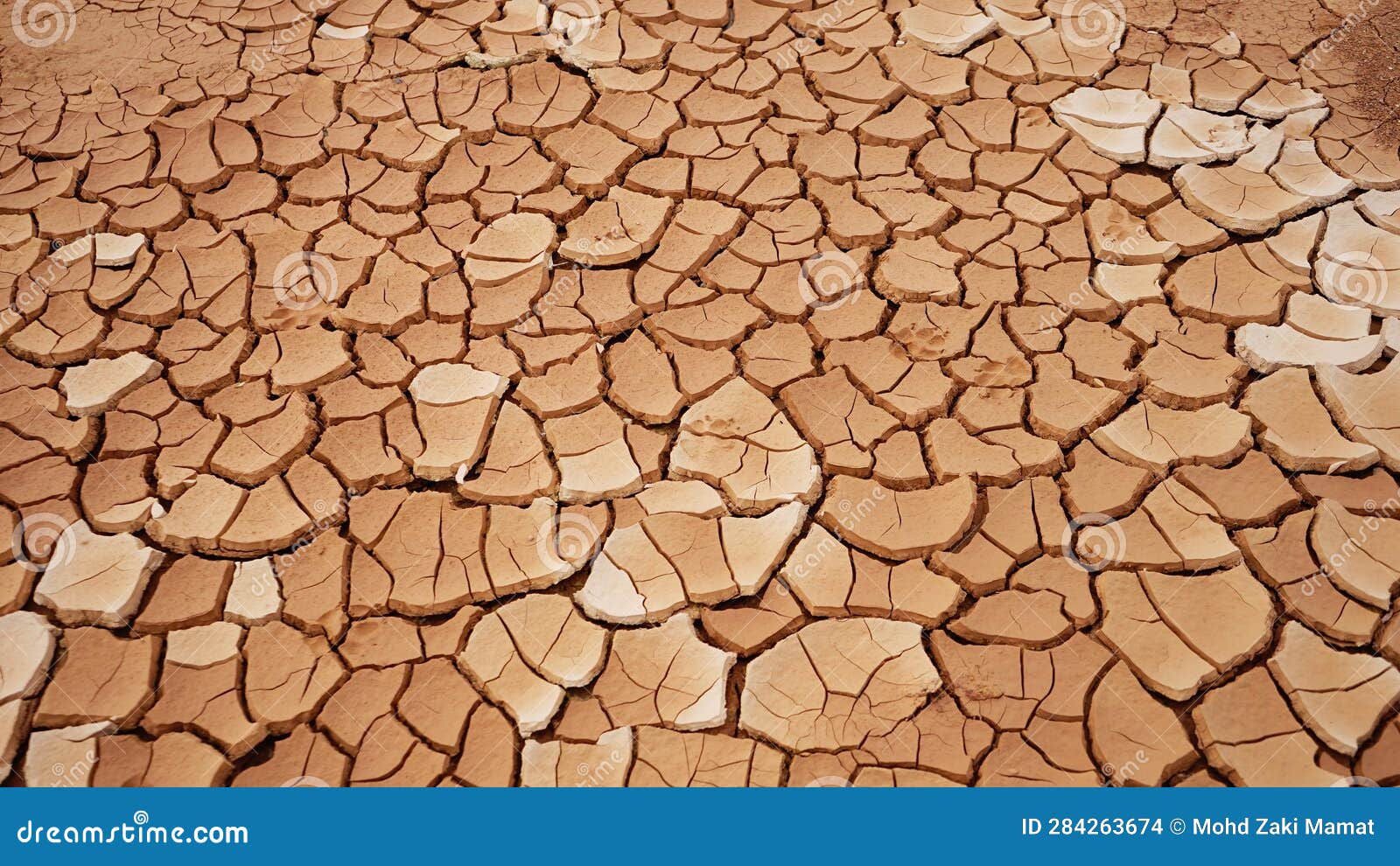 Kracked mud stock photo. Image of kracked, sand, cracks - 284263674