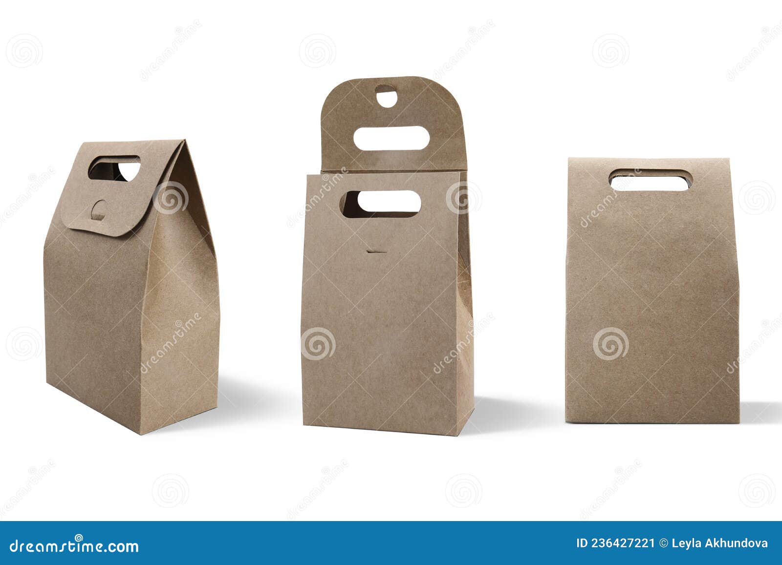 Kraft Paper Bag Packaging. Open Bag, Front and Back Side View. Stock ...