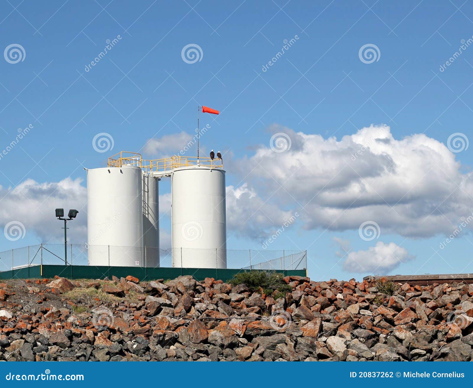 Kraftstofftanks mit Adlern stockfoto. Bild von becken - 20837262